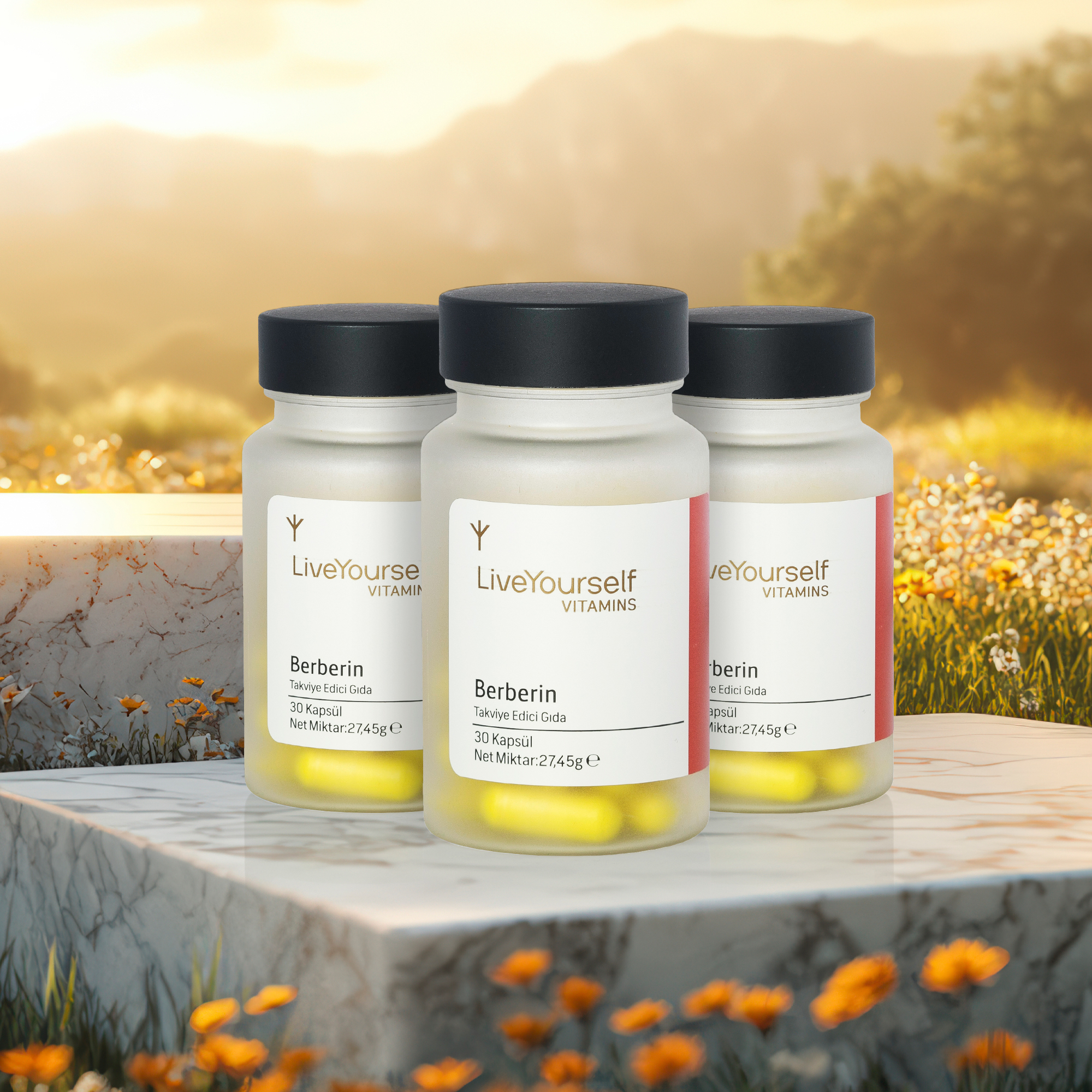 Setler | Live Yourself